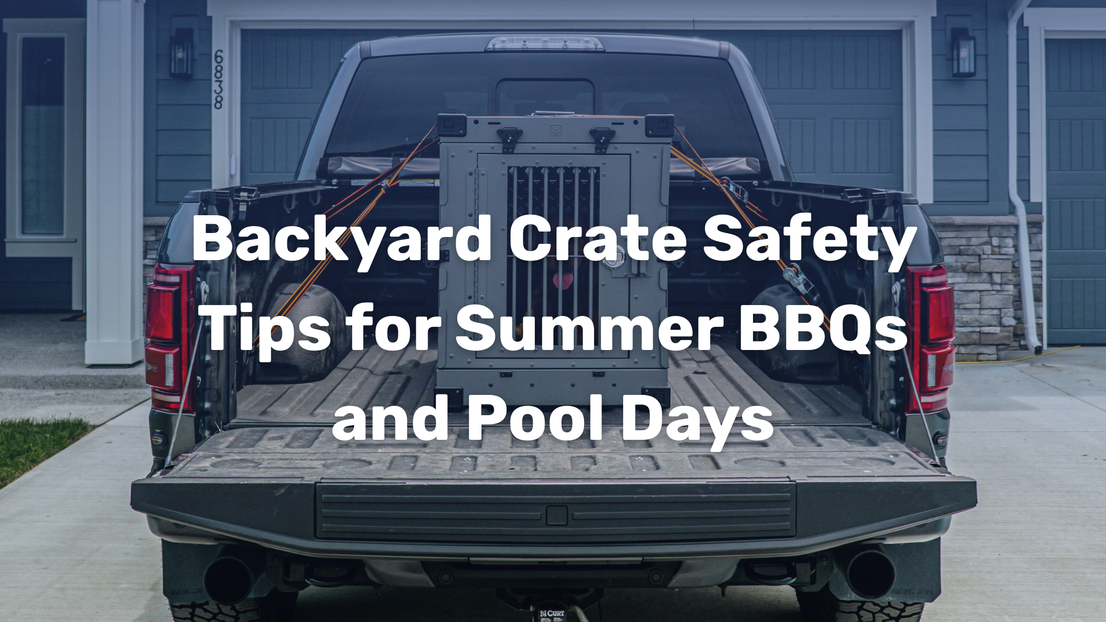 Backyard Crate Safety Tips for Summer BBQs and Pool Days – Impact Dog ...
