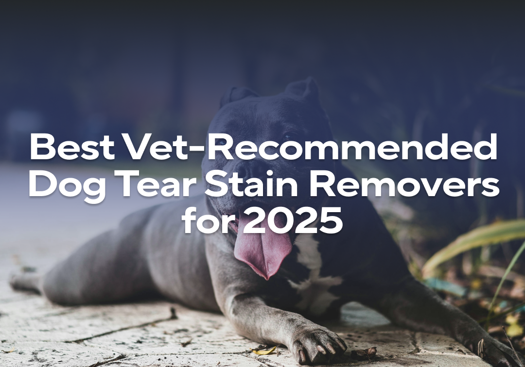 Best Vet-Recommended Dog Tear Stain Removers for 2025 – Impact Dog Crates