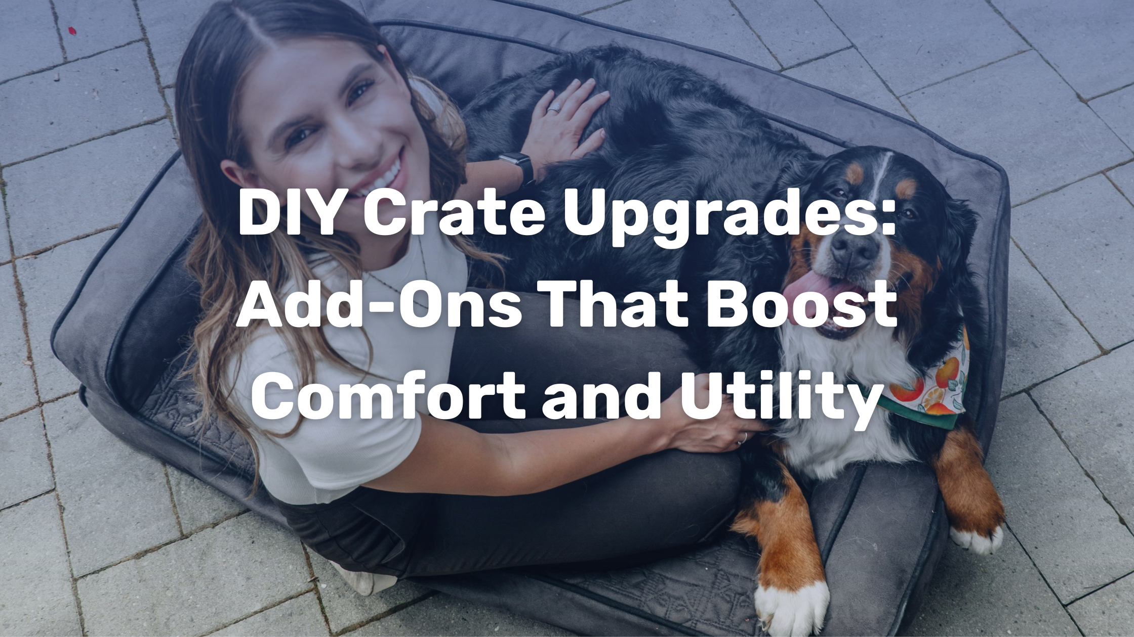 DIY Crate Upgrades: Add-Ons That Boost Comfort and Utility – Impact Dog ...