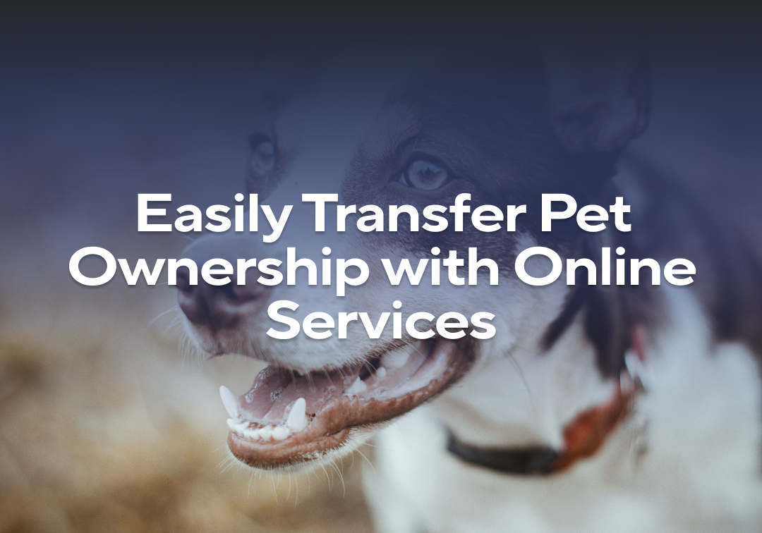 Easily Transfer Pet Ownership with Online Services – Impact Dog Crates