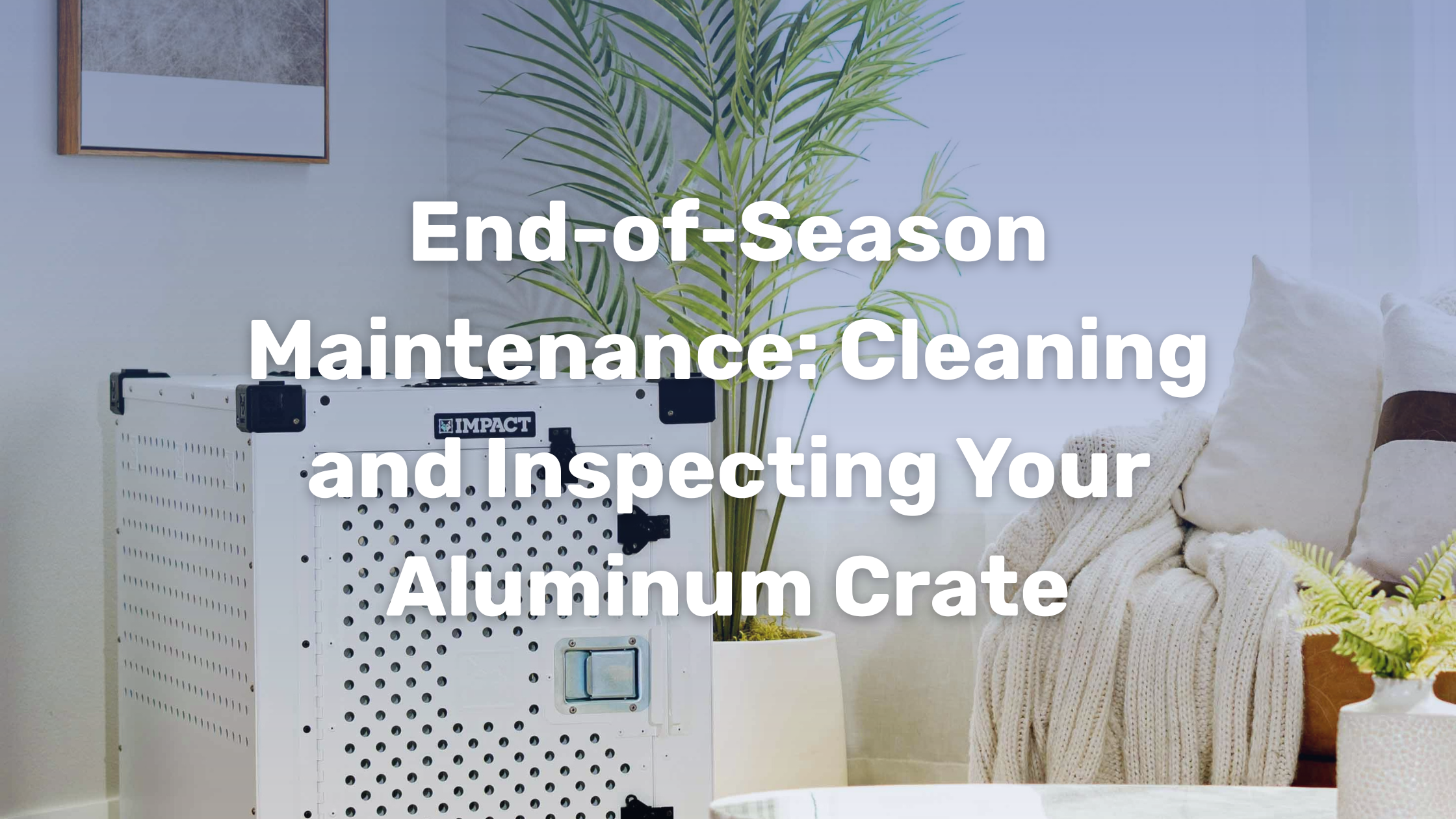 How to Clean Your Dog Crate | Impact Dog Crates