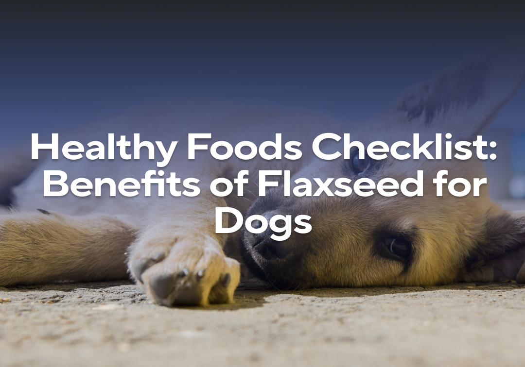 Healthy Foods Checklist: Benefits of Flaxseed for Dogs – Impact Dog Crates