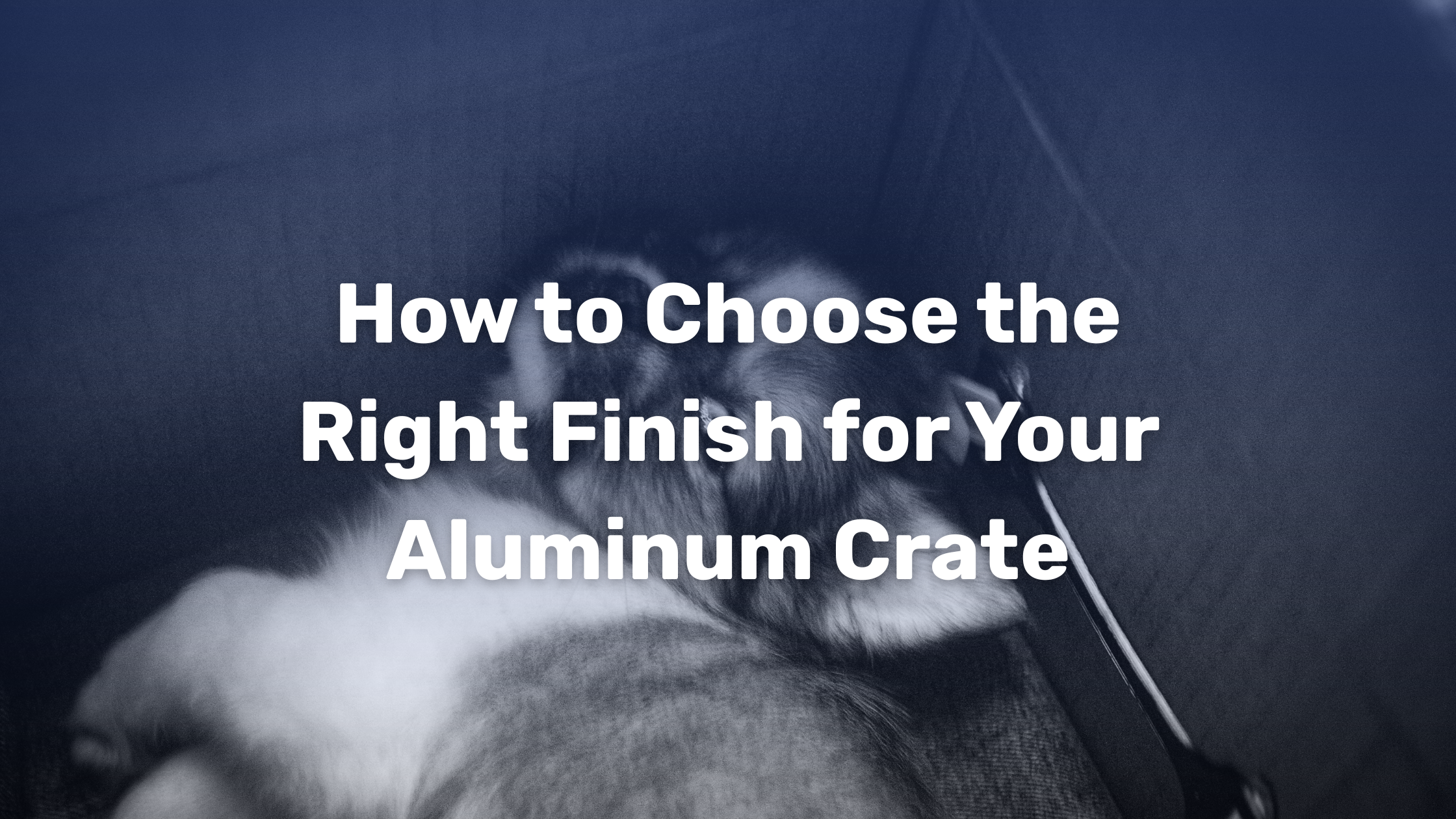 How to Choose the Right Finish for Your Aluminum Crate – Impact Dog Crates