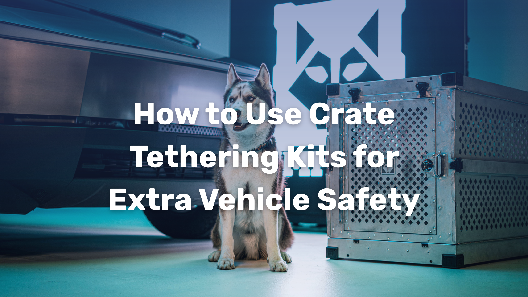 How to Use Crate Tethering Kits for Extra Vehicle Safety – Impact Dog ...