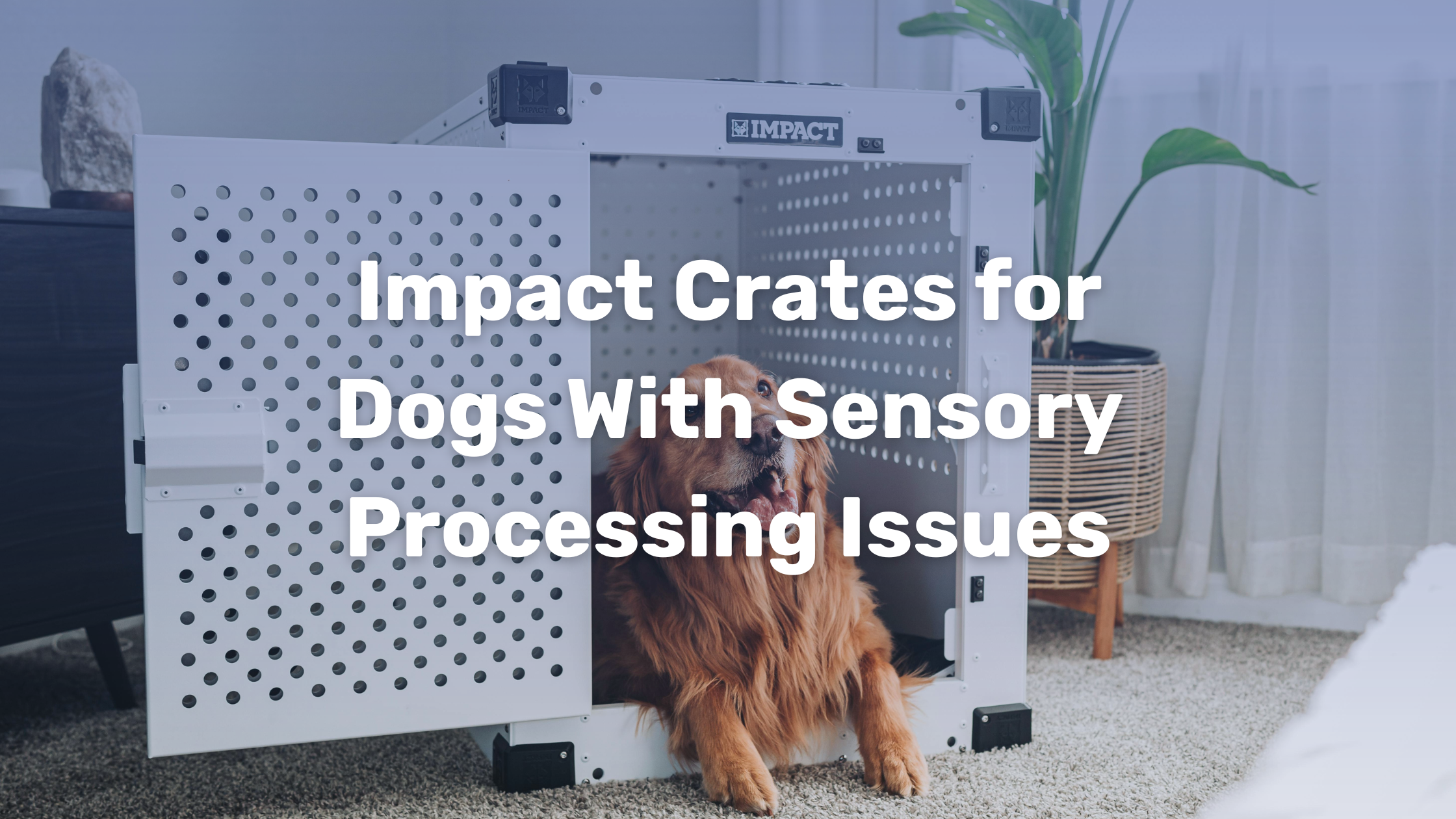 Impact Crates for Dogs With Sensory Processing Issues – Impact Dog Crates