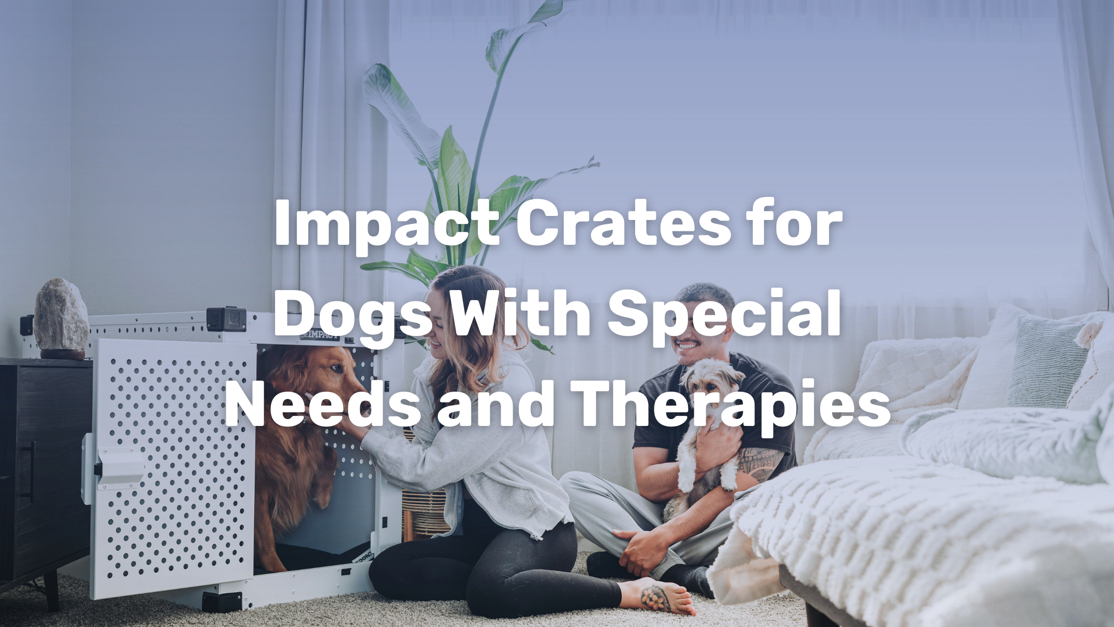 Impact Crates for Dogs With Special Needs and Therapies – Impact Dog Crates