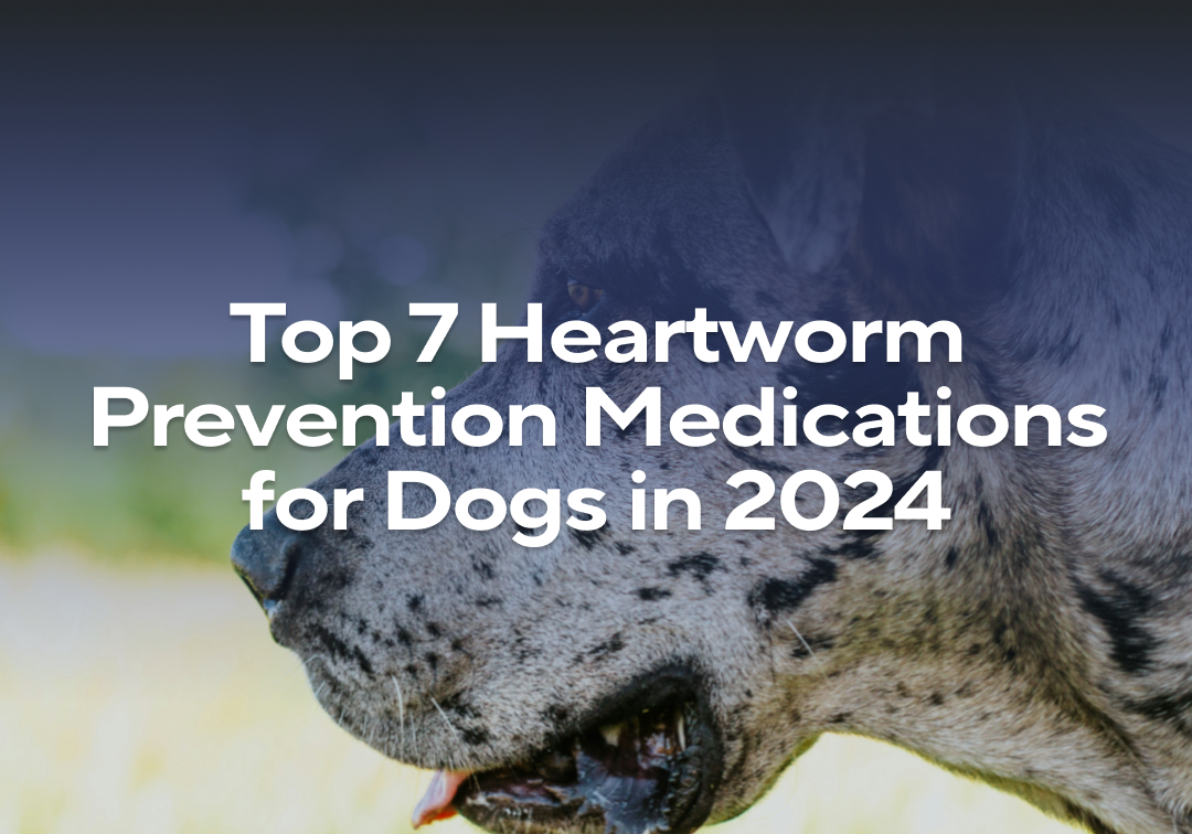 Top 7 Heartworm Prevention Medications for Dogs in 2024 – Impact Dog Crates