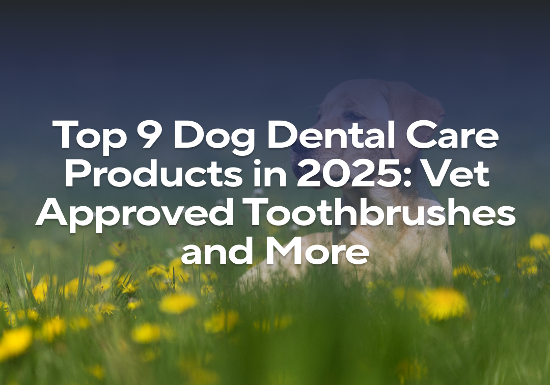 Top 9 Dog Dental Care Products in 2025: Vet Approved Toothbrushes and ...