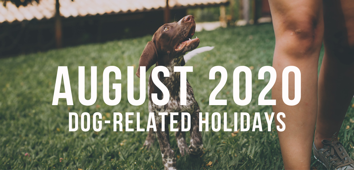 August 2020 Pet Holidays and Observances – Impact Dog Crates