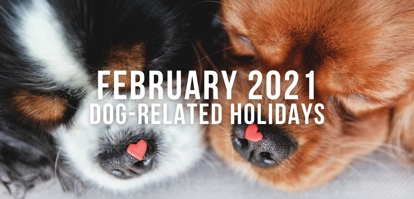 February 2021 Dog-Related Holidays and Observances – Impact Dog Crates