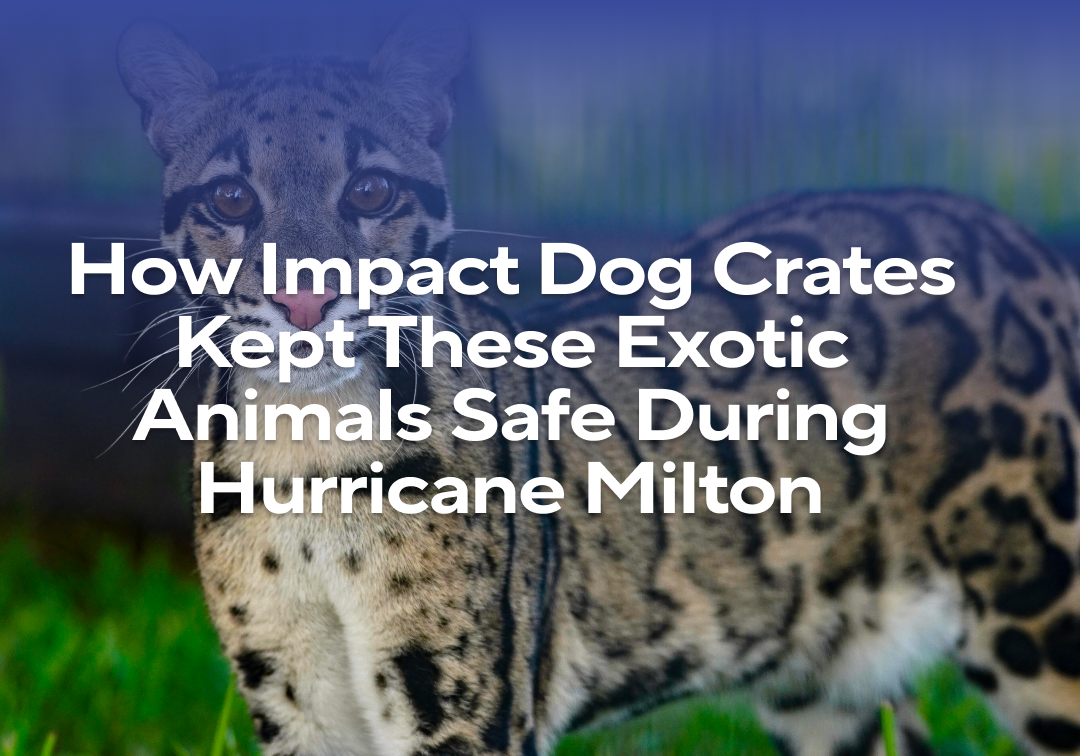 How Impact Dog Crates Kept These Exotic Animals Safe During Hurricane