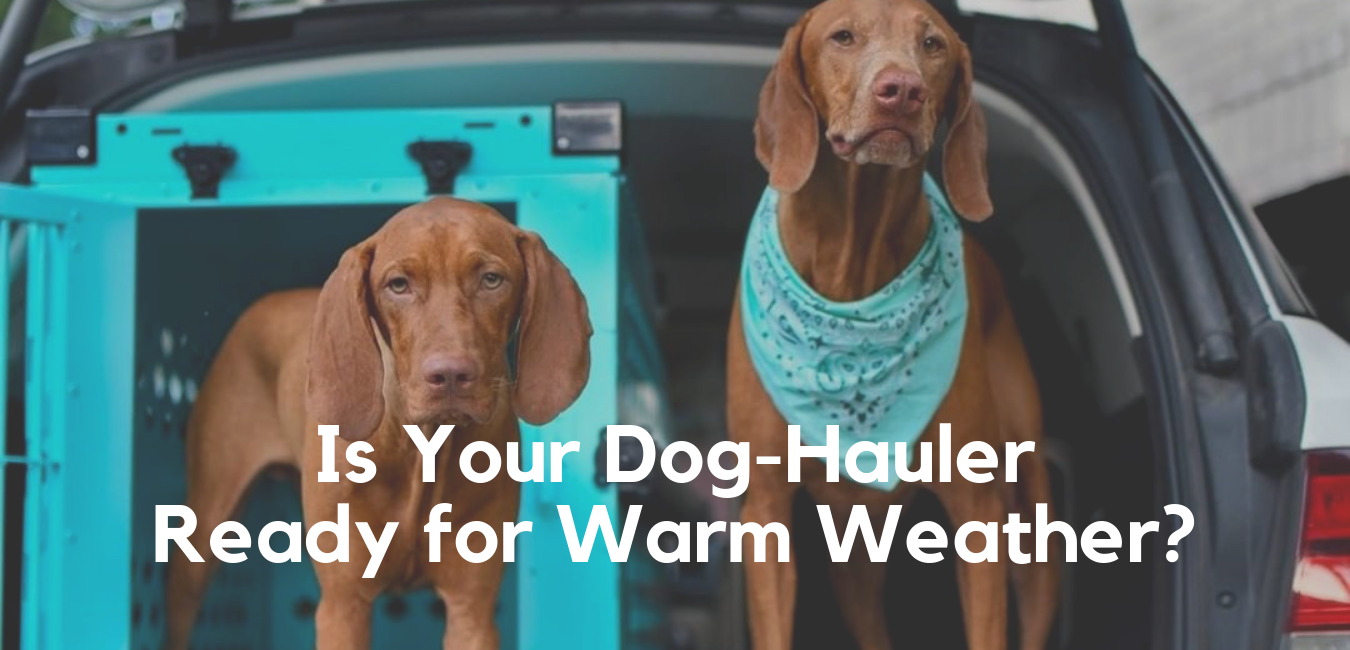 Is Your RV / Van Ready for Warm Weather? – Impact Dog Crates