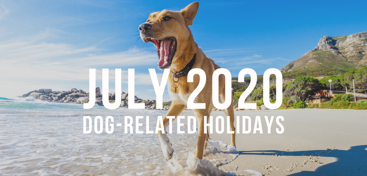 July 2020 Pet Holidays – Impact Dog Crates