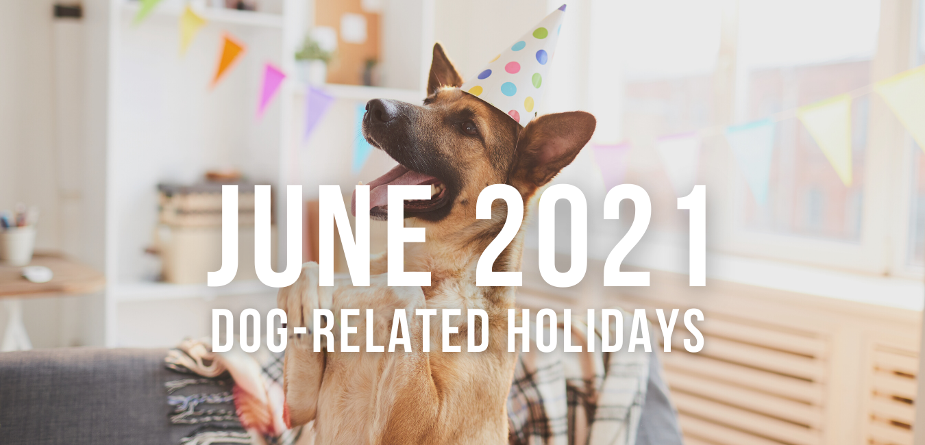 June 2021 Dog-Related Holidays – Impact Dog Crates