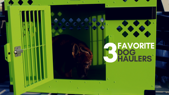 OUR TOP 3 FAVORITE DOG HAULERS – Impact Dog Crates