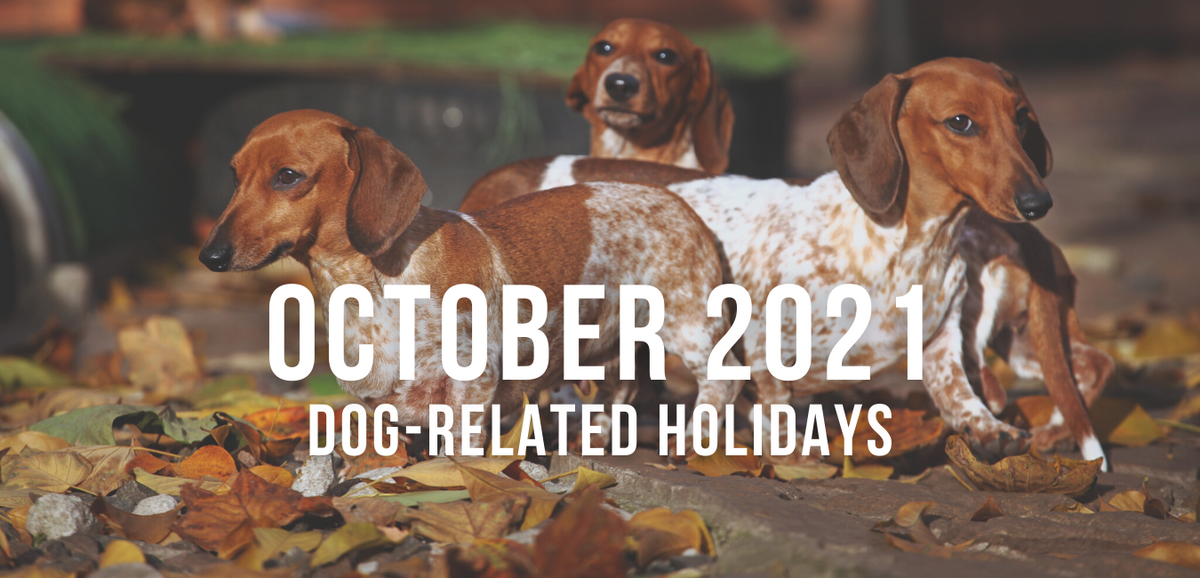 October 2021 Dog-Related Holidays and Observances – Impact Dog Crates