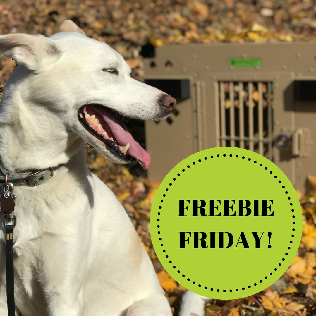 Did you know about FREEBIE FRIDAY??? – Impact Dog Crates