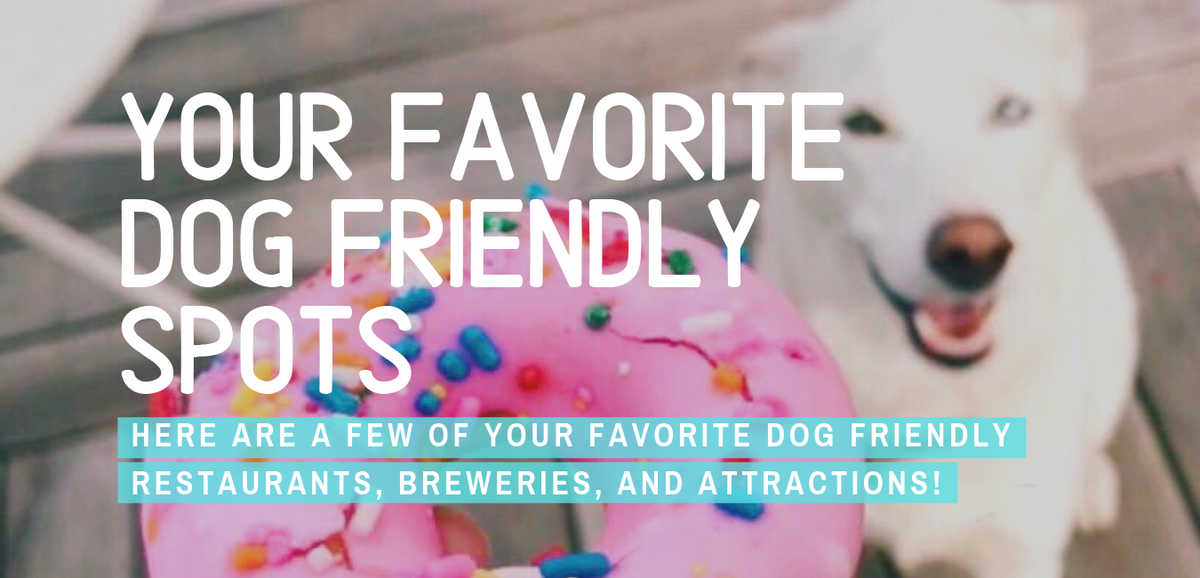 Your Favorite Dog Friendly Spots – Impact Dog Crates