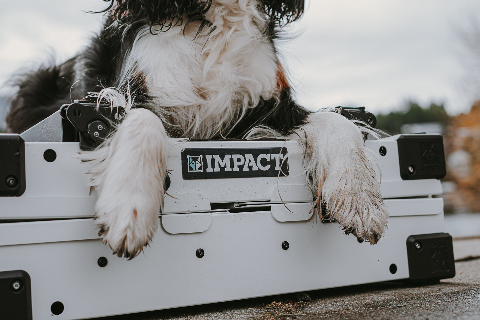 All Dog Crates – Impact Dog Crates
