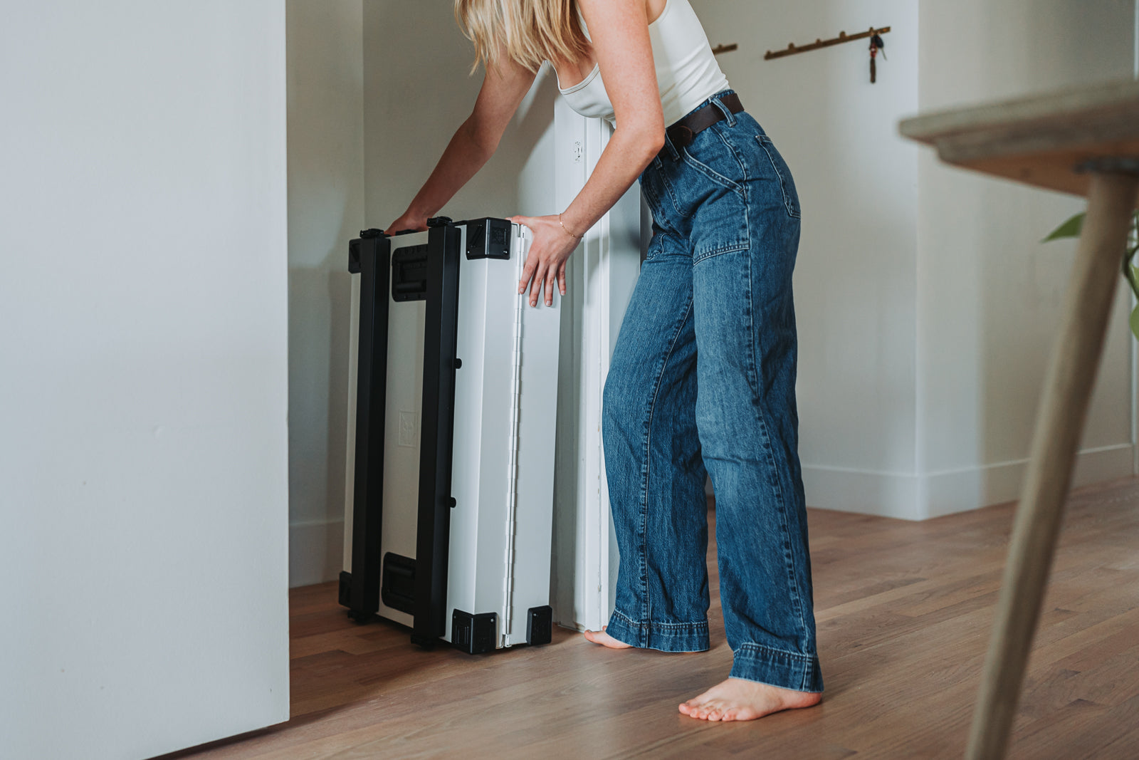 Collapsible Travel Dog Crate | Impact Dog Crates