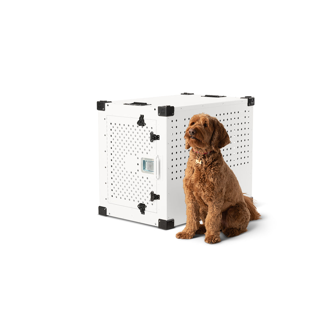 High Anxiety Dog Crate | Impact Dog Crates