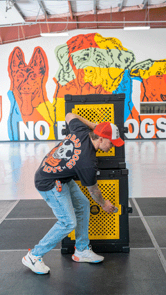 Tom Davis: "No Bad Dogs." Signature Crate – Impact Dog Crates