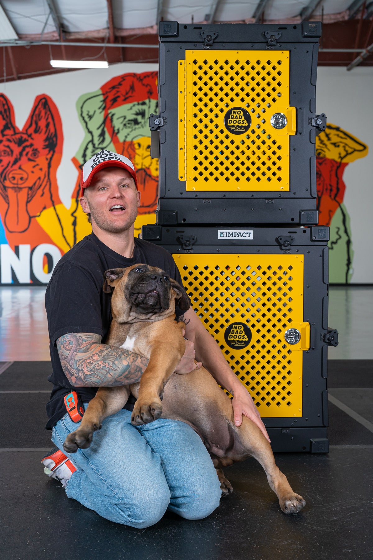 Impact Crate Fan – Impact Dog Crates