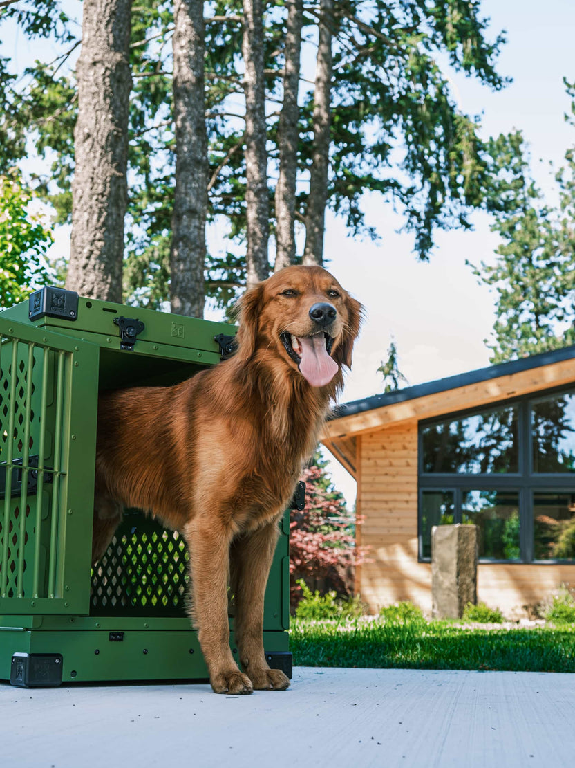 Impact Dog Crates | Strong & Safe Aluminum Dog Crates