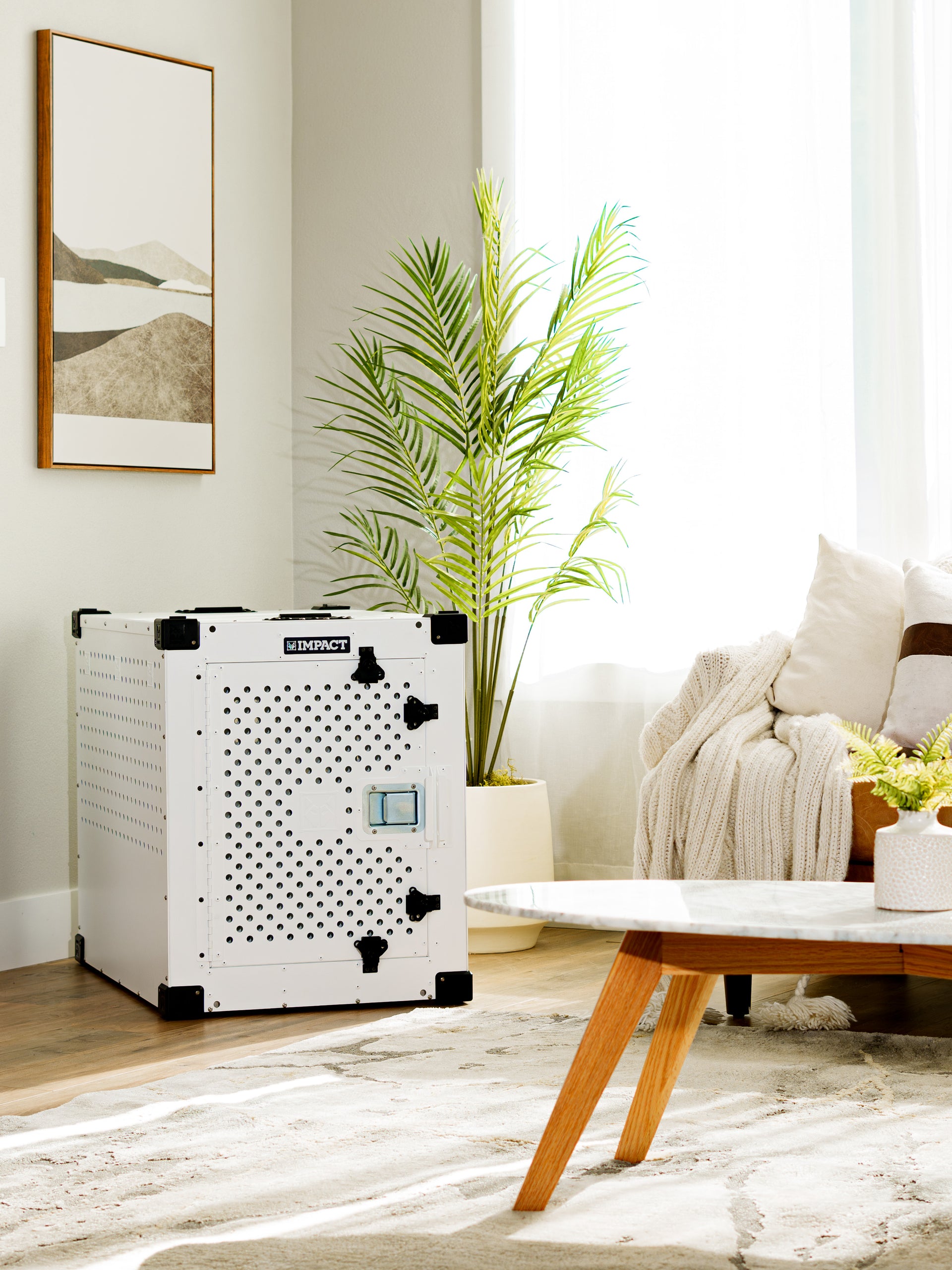 High Anxiety Crate - Explore Now – Impact Dog Crates