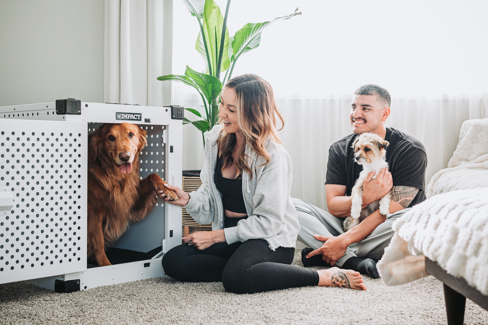 Why Impact? – Impact Dog Crates