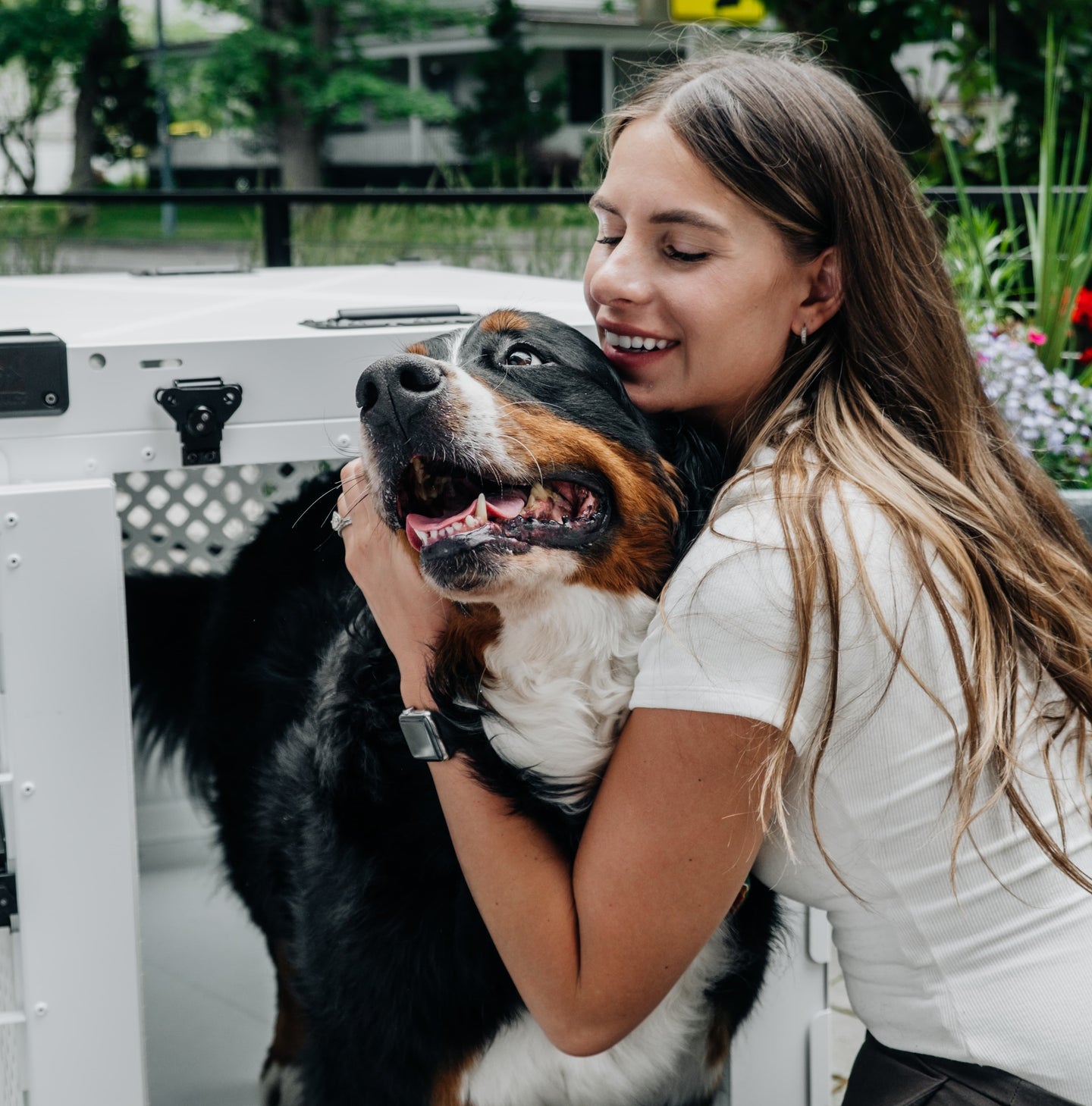 High Anxiety Crate - Explore Now – Impact Dog Crates