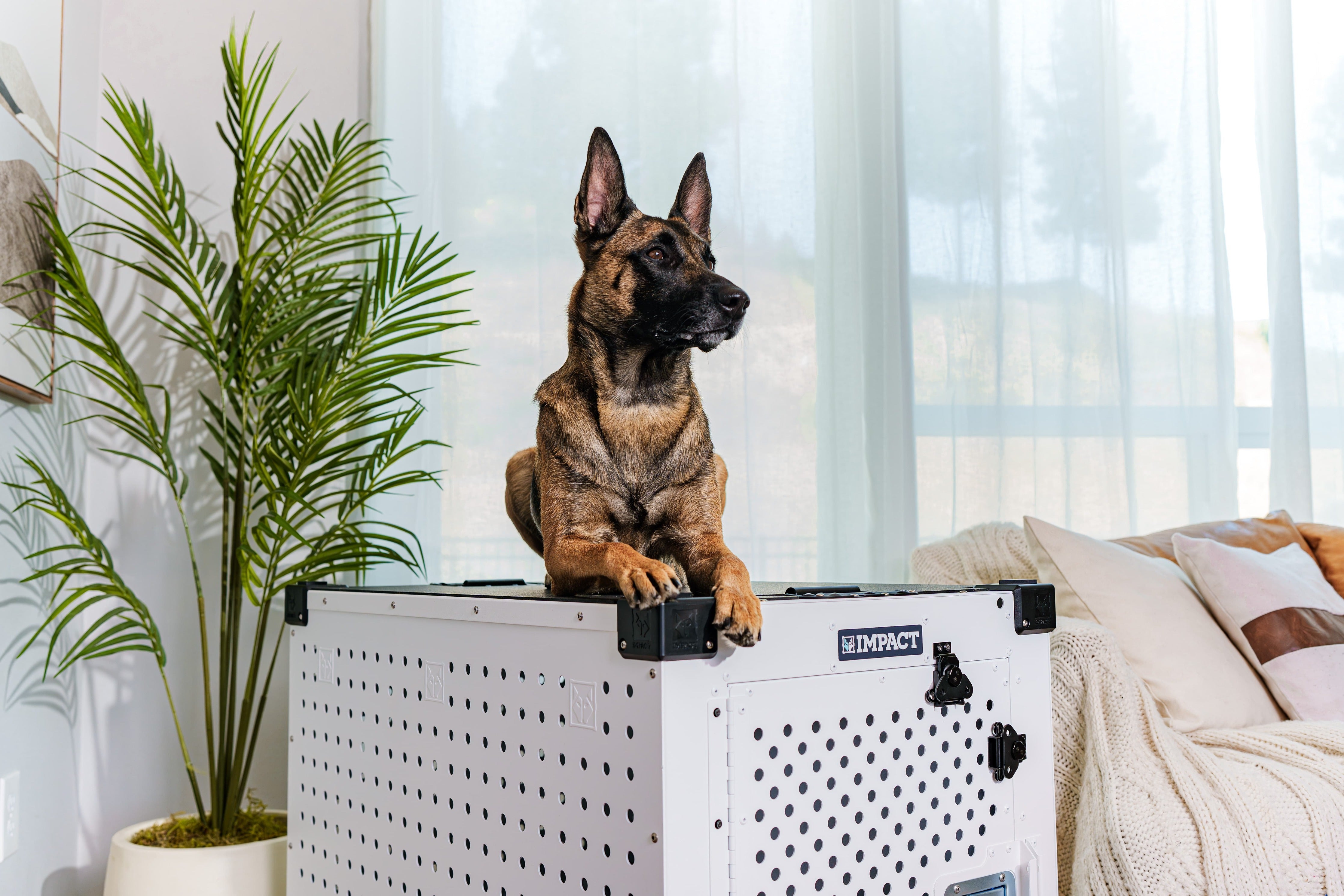 Impact Grooming Pad – Impact Dog Crates