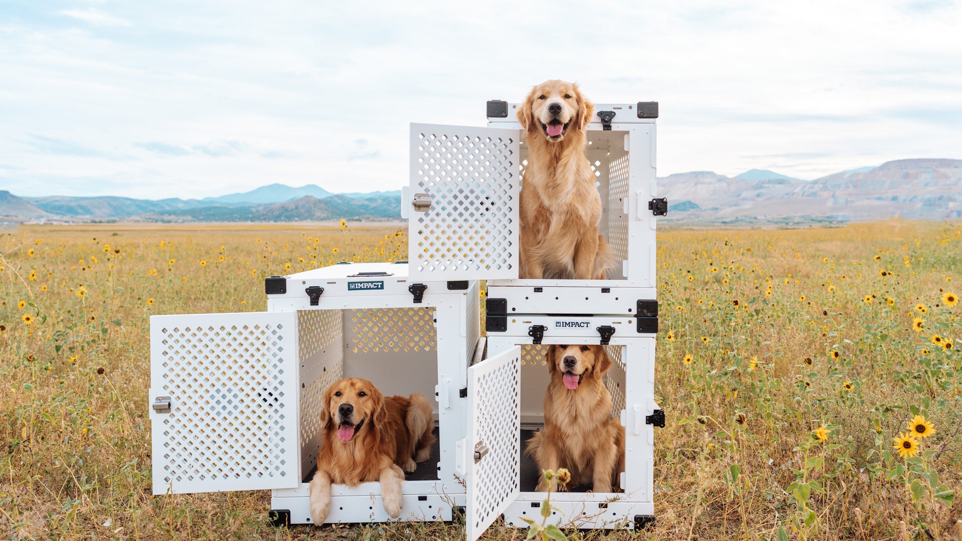 About – Impact Dog Crates