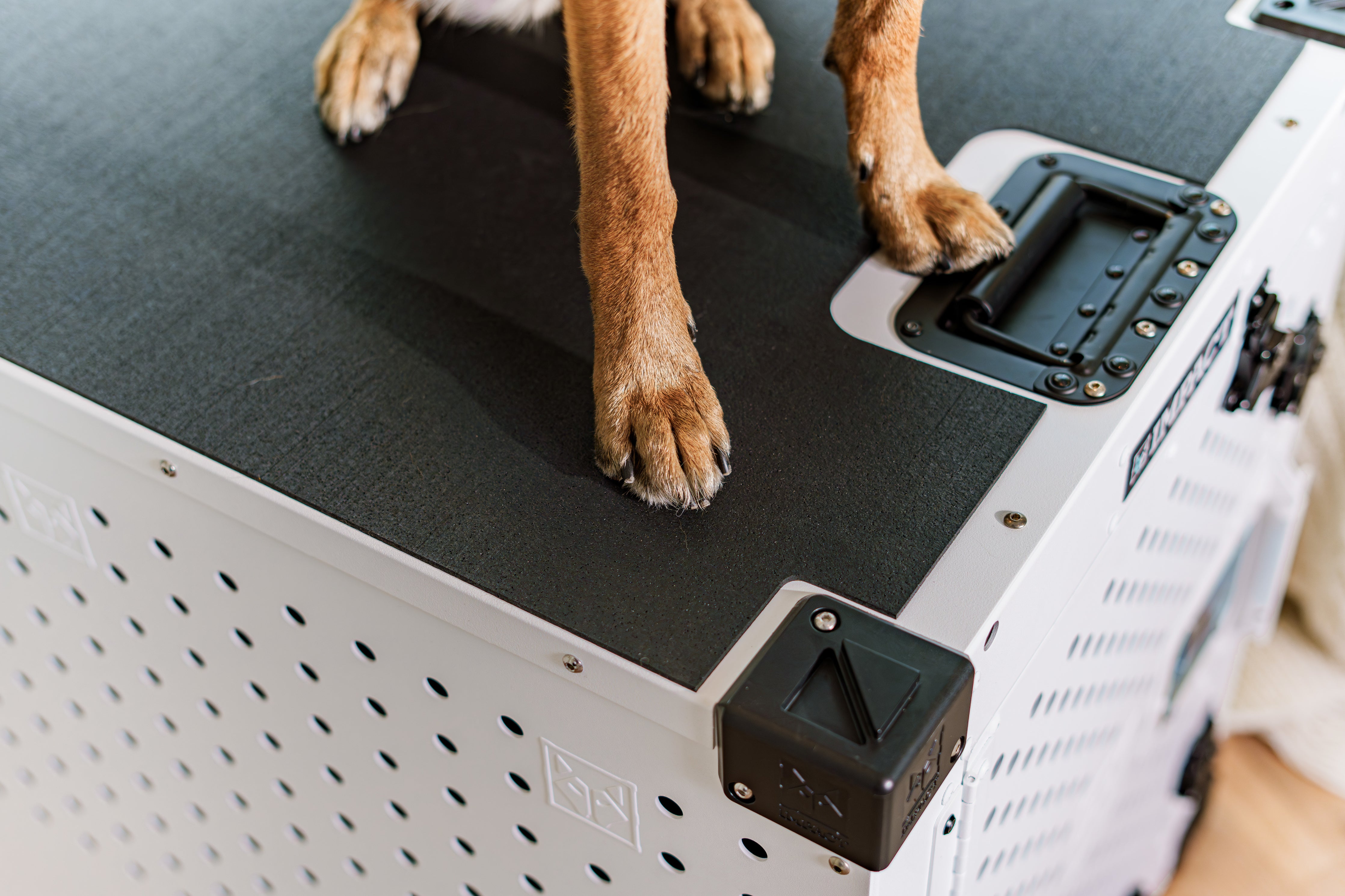 Impact Grooming Pad – Impact Dog Crates