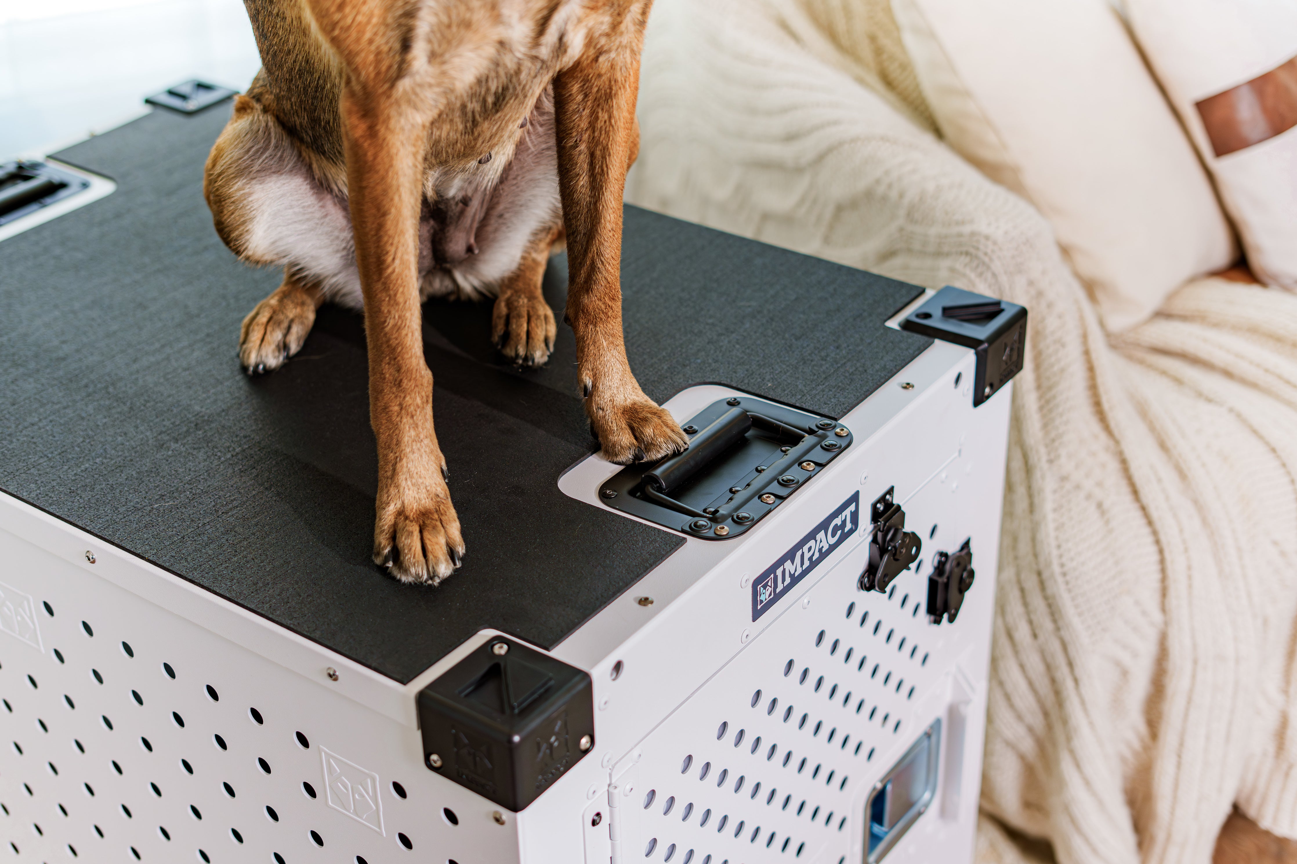 Impact Grooming Pad – Impact Dog Crates