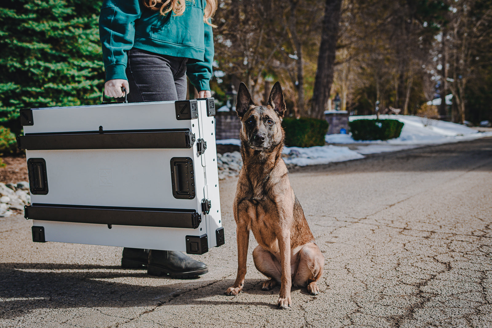 Collapsible Crate - Explore Now – Impact Dog Crates
