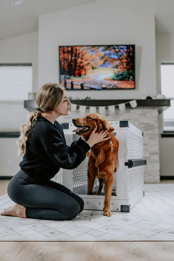 Impact Dog Crates | Heavy Duty Dog Crates & Kennels