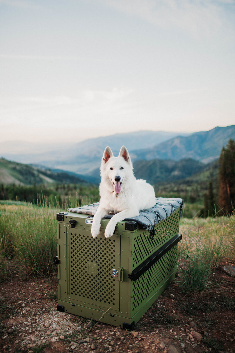 Impact Dog Crates | Strong & Safe Aluminum Dog Crates