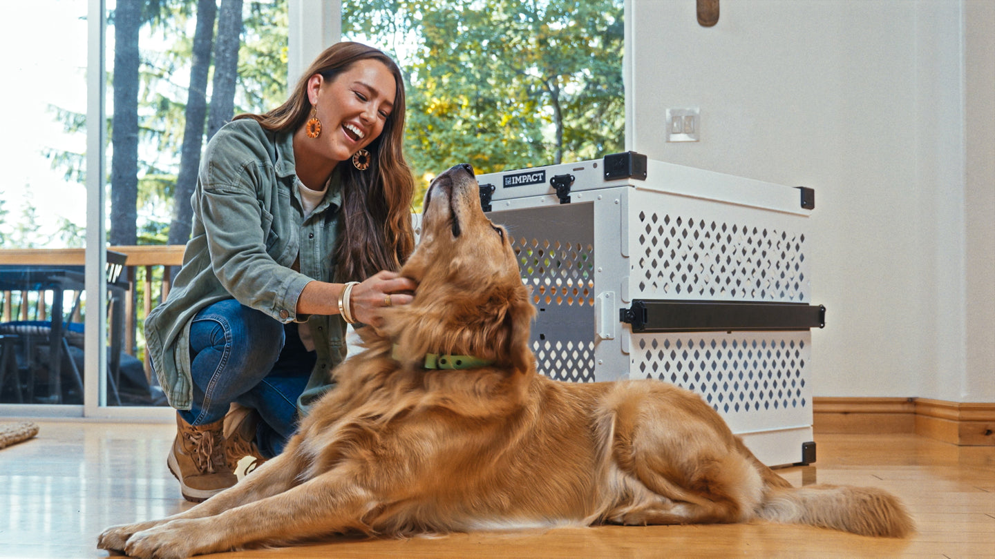 Collapsible Crate - Explore Now – Impact Dog Crates